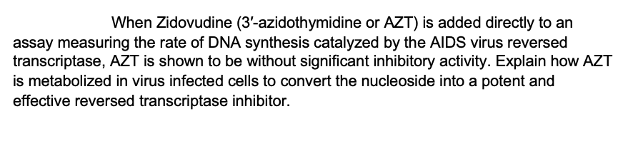 Solved When Zidovudine (3'-azidothymidine or AZT ) is added | Chegg.com