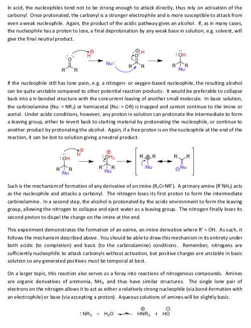 Solved SYNTHESIS OF BENZOPHENONE OXIME* H2N-OH + H20 | Chegg.com