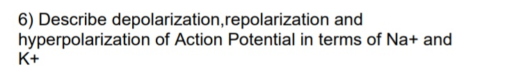 Solved 6) Describe depolarization, repolarization and | Chegg.com