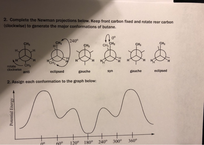 Solved 2. Complete the Newman projections below. Keep front | Chegg.com