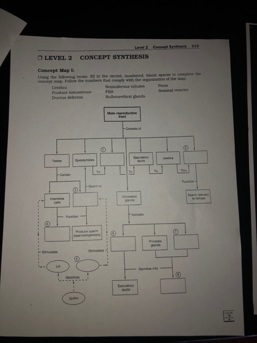 Solved Level 2 Concept Synthesis 535 LEVEL 2 CONCEPT | Chegg.com