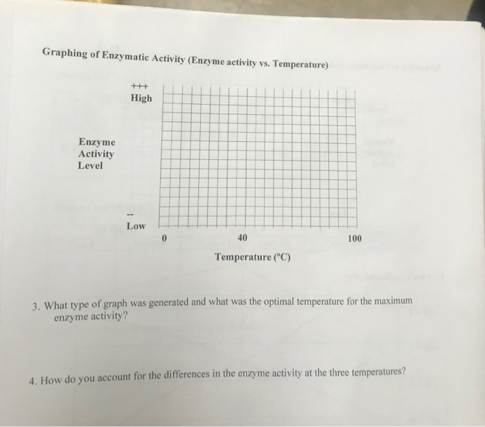 Solved Graphing of Enzymatic Activity (Enzyme activity vs. | Chegg.com