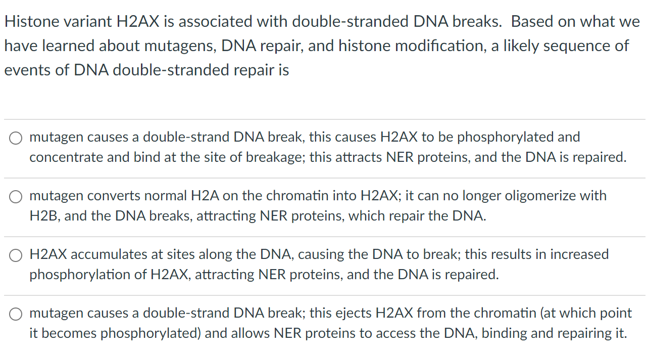 Solved Histone variant H2AX is associated with | Chegg.com