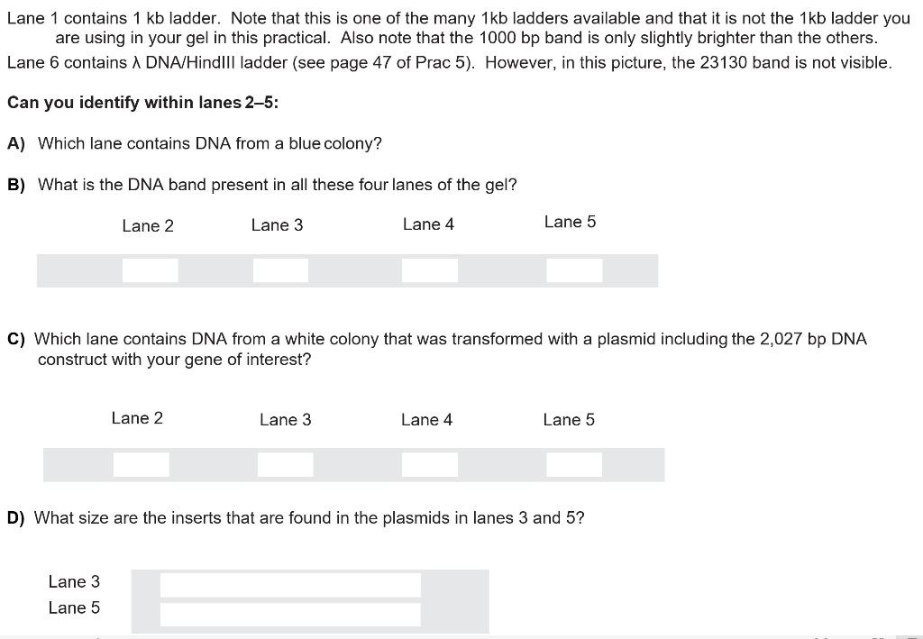WORKSHEET TASK 2: (Go through this with your tutor so | Chegg.com