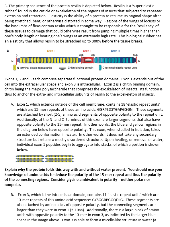 3. The primary sequence of the protein resilin is | Chegg.com