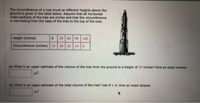 Solved The circumference of a tree trunk at different | Chegg.com