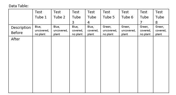 Solved Initial Set-up (Data Table from your Lab) TT1 TT2 TT3 | Chegg.com