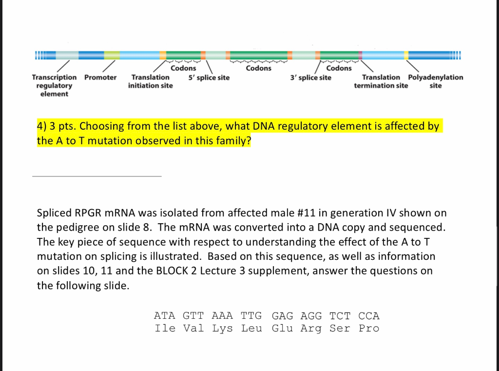 This is the RPGR gene viewed in the human genome | Chegg.com