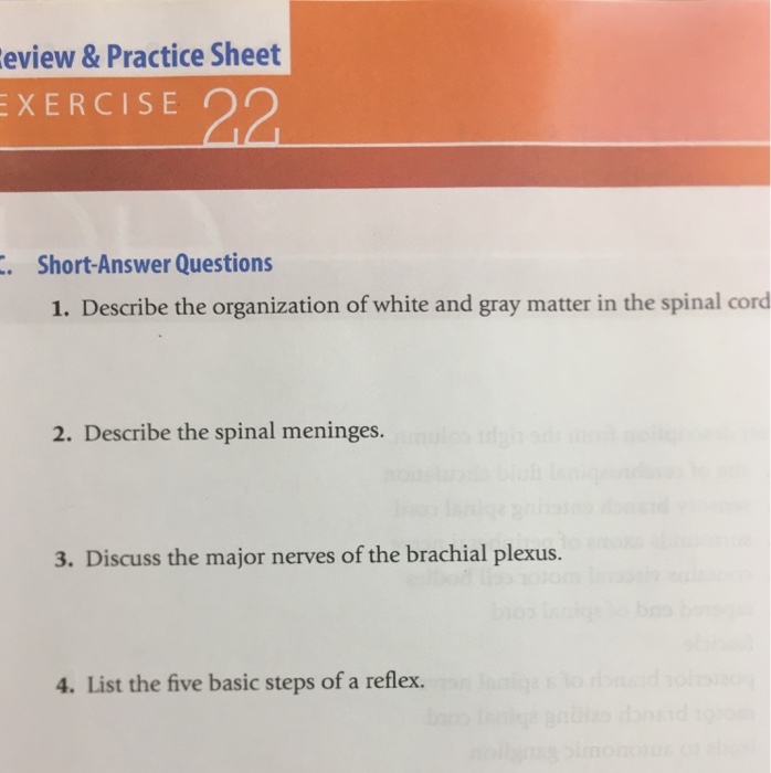Solved eview & Practice Sheet XERCISE 22 . Short-Answer | Chegg.com Solved eview & Practice Sheet XERCISE 22 . Short-Answer | Chegg.com