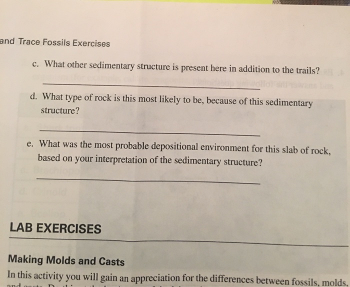 Solved Fossil Preservation and Trace Fossils Exercises 285 | Chegg.com Solved Fossil Preservation and Trace Fossils Exercises 285 | Chegg.com