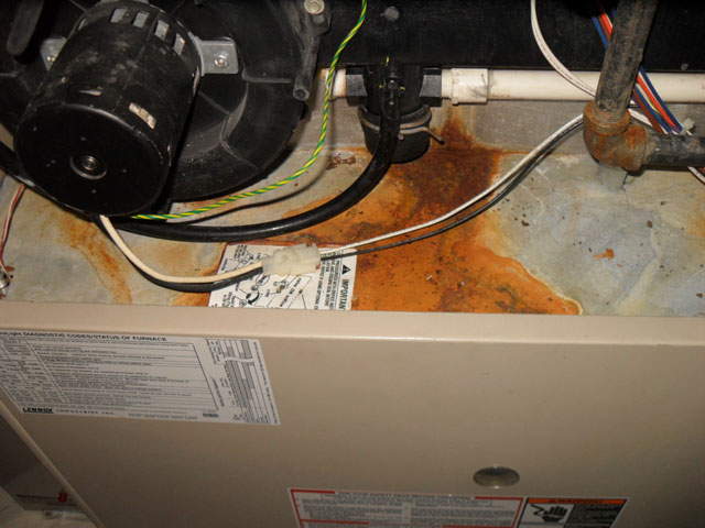 Solved Study the photographs below and write a report on | Chegg.com