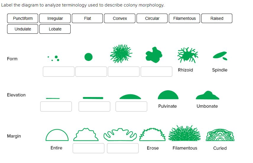 Solved Label the diagram to analyze terminology used to | Chegg.com Solved Label the diagram to analyze terminology used to | Chegg.com