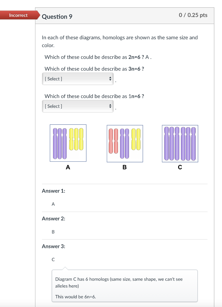 Solved In each of these diagrams, homologs are shown as the | Chegg.com