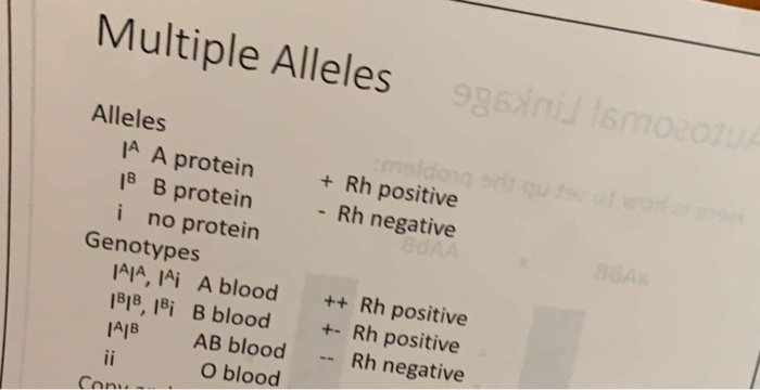 Solved Multiple alleles Solve these problems, show the | Chegg.com