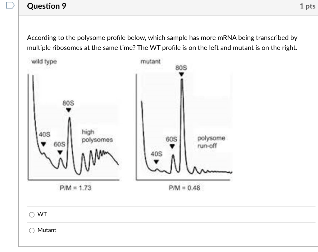 Solved According to the polysome profile below, which sample | Chegg.com