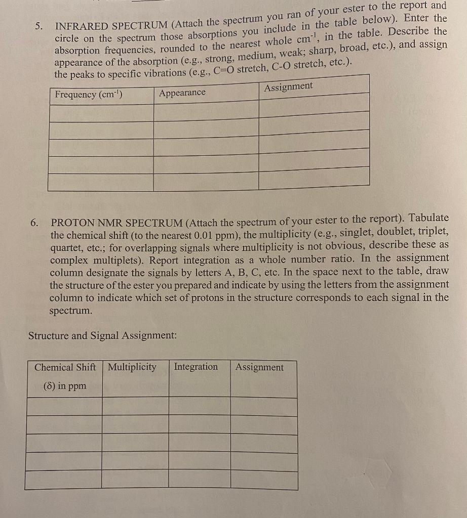Solved SN2 Nucleophilic Substitution in a Polar Aprotic | Chegg.com