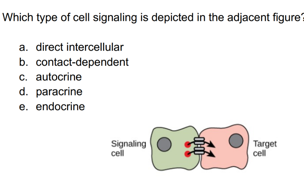 Solved Which type of cell signaling is depicted in the | Chegg.com