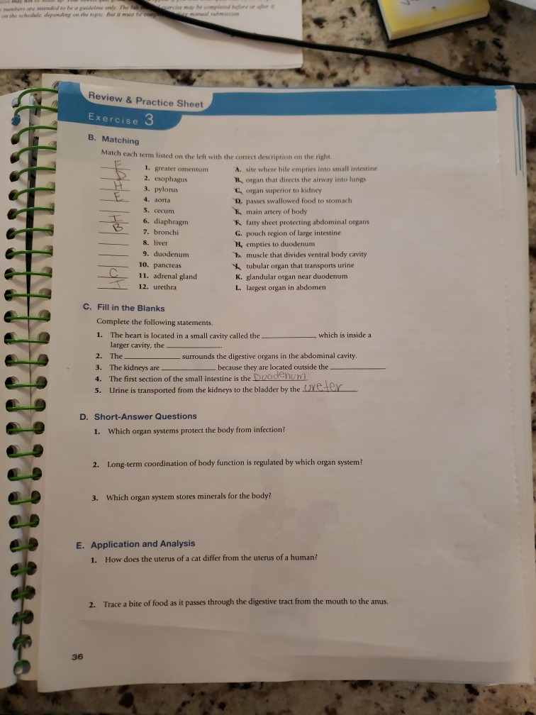 Solved Review & Practice Sheet Exercise 3 B. Matching Match | Chegg.com