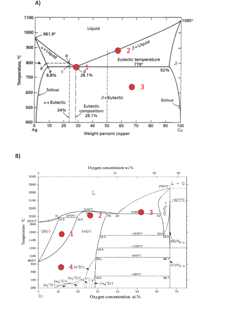 For each of the phase diagrams below, please write | Chegg.com