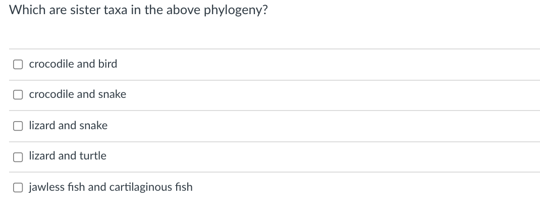 Solved Vertebrate phylogenetic tree jawless cartilaginous | Chegg.com