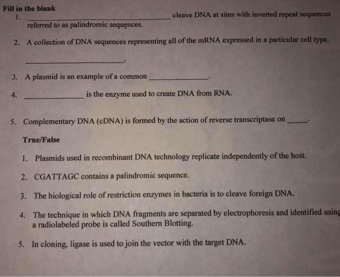 Solved Fill in the blank 1. cleave DNA at sites with | Chegg.com