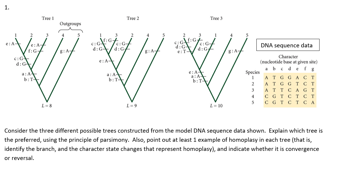 Solved Tree 2 Tree 3 DNA sequence data Consider the three | Chegg.com