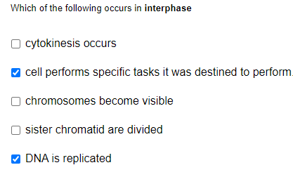 Solved Which of the following occurs in interphase | Chegg.com