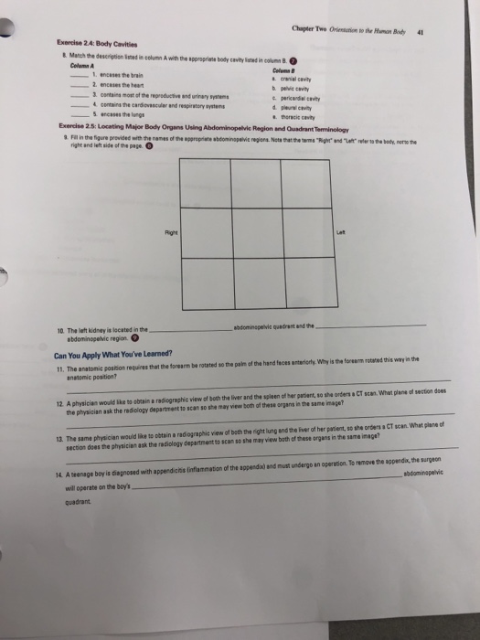 Solved Exercise 2A: Body Cavities & Manch the description | Chegg.com
