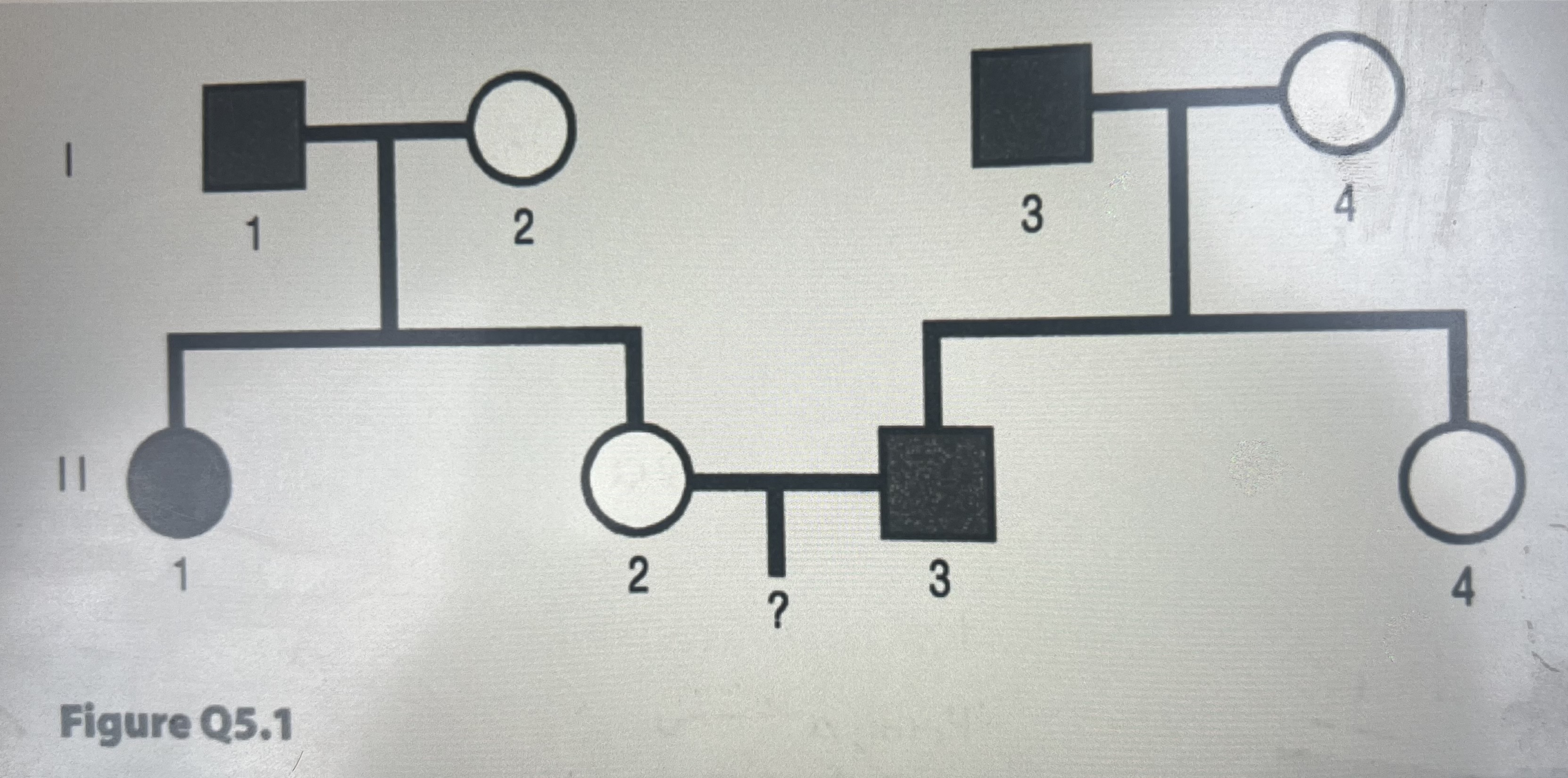 Solved This pedigree shows the pattern of inheritance of an | Chegg.com