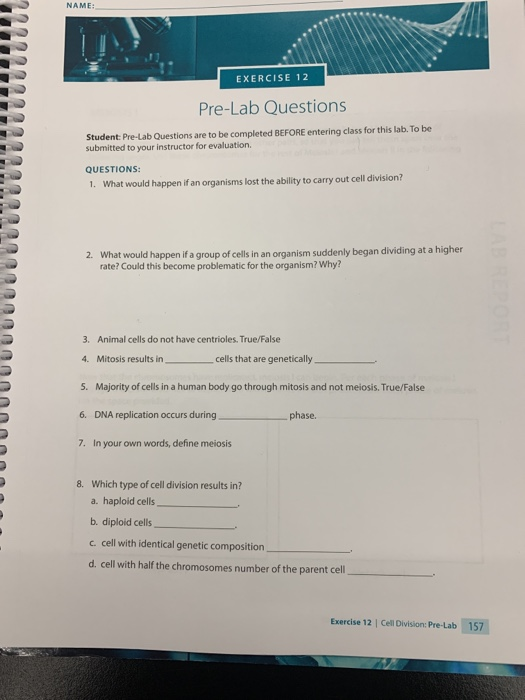 Solved NAME EXERCISE 12 Pre-Lab Questions Student: Pre-Lab | Chegg.com Solved NAME EXERCISE 12 Pre-Lab Questions Student: Pre-Lab | Chegg.com