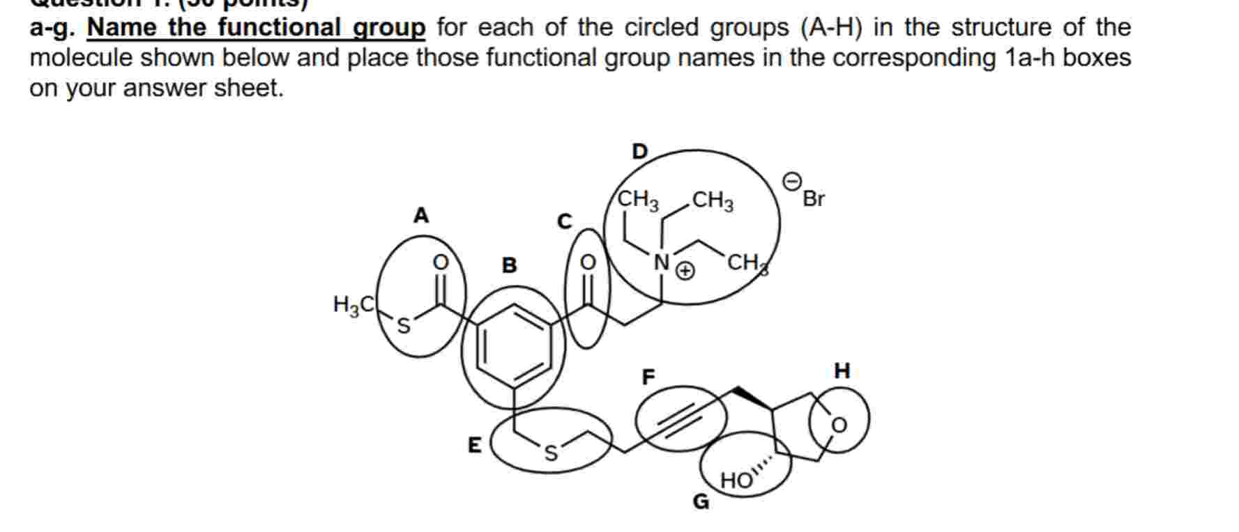 Solved Name the functional group for each of the circled | Chegg.com