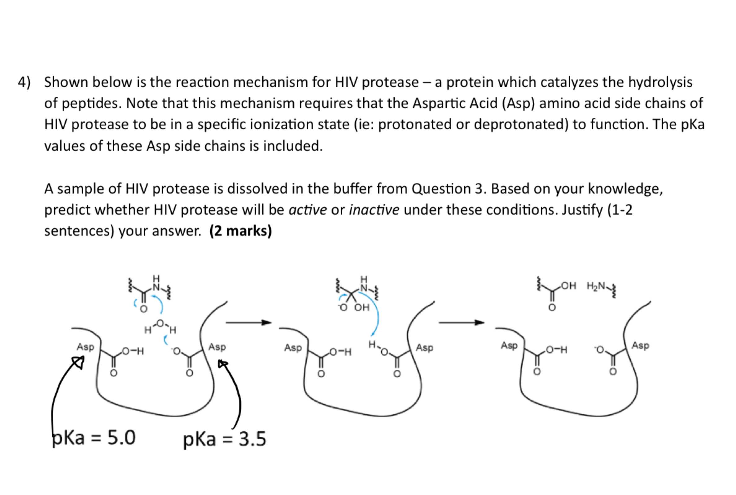 Solved Shown below is the reaction mechanism for HIV | Chegg.com