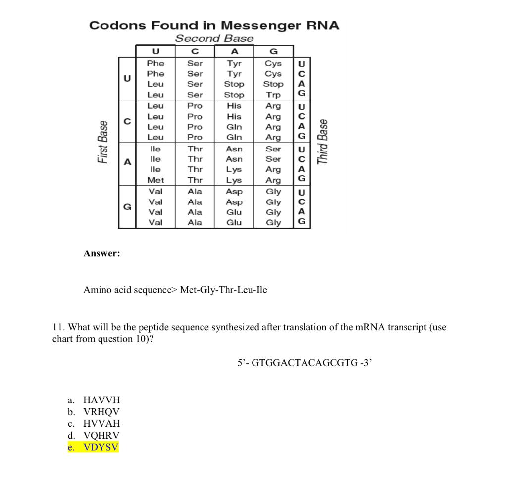 Solved כ Ser Trp Codons Found in Messenger RNA Second Base U | Chegg.com