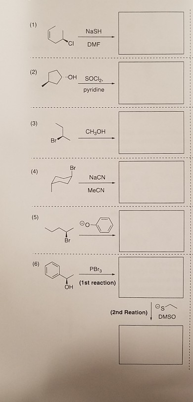 Solved CHEM 205 Worksheet (WS5) 56 Points Total Key Toples: | Chegg.com