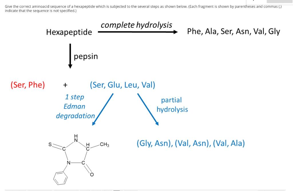 Solved Give the correct aminoacid sequence of a hexapeptide | Chegg.com