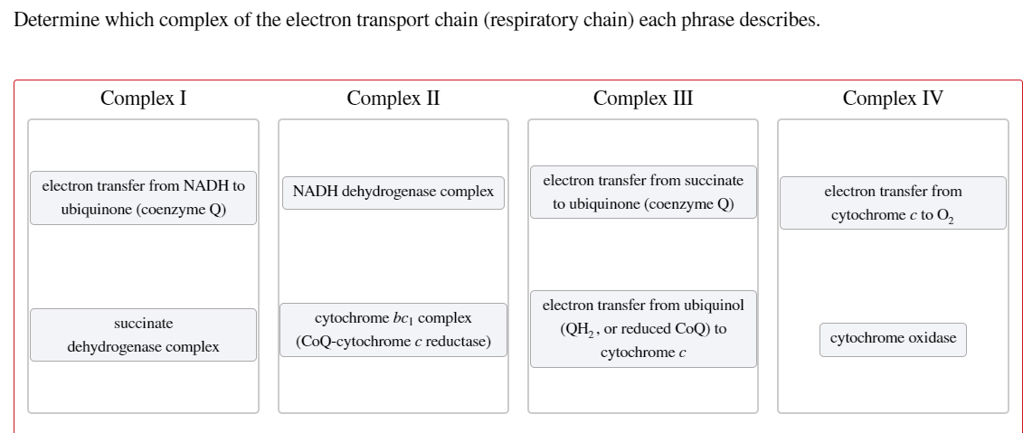 Solved Determine which complex of the electron transport | Chegg.com