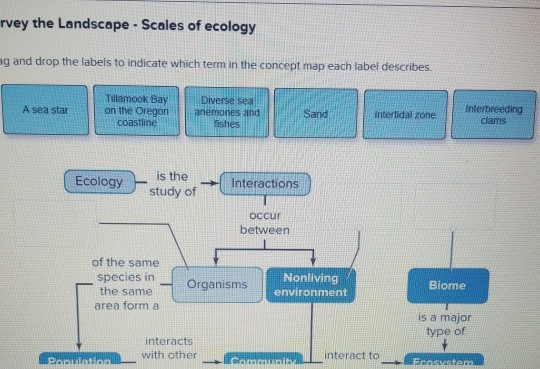 Solved rvey the Landscape Scales of ecology g and drop the | Chegg.com