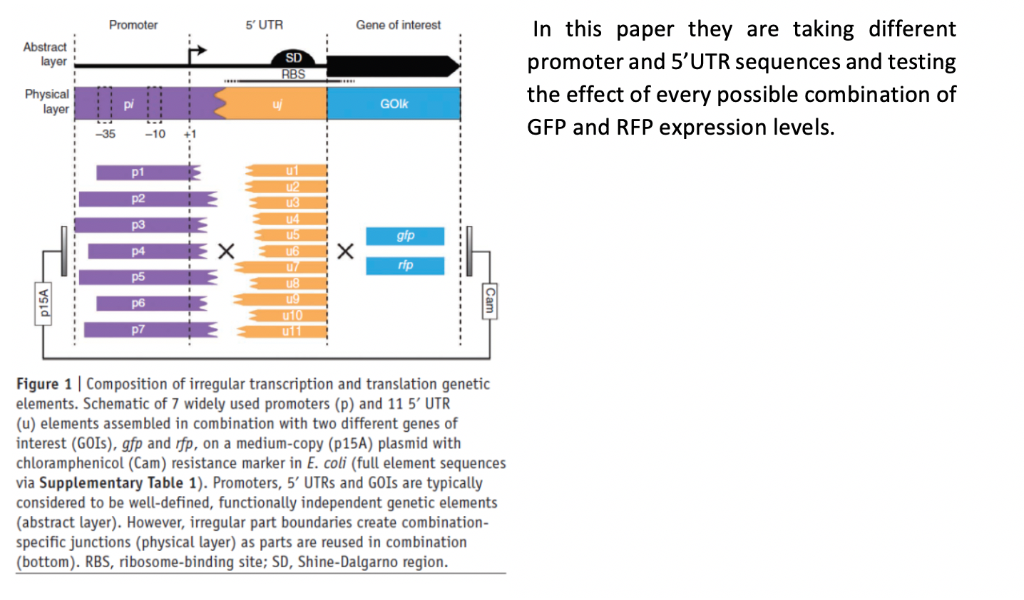 Gene of interest In this paper they are taking | Chegg.com