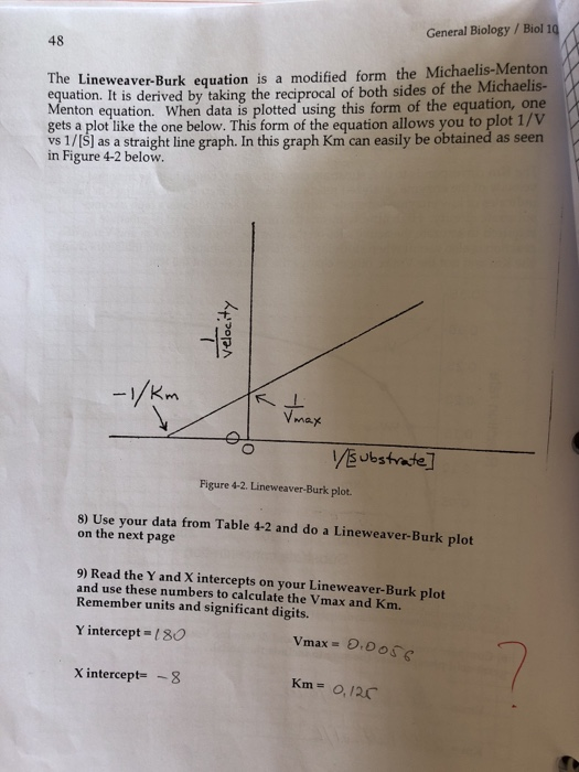 Solved General Biology/Biol 10 48 The lineweaver Burk | Chegg.com