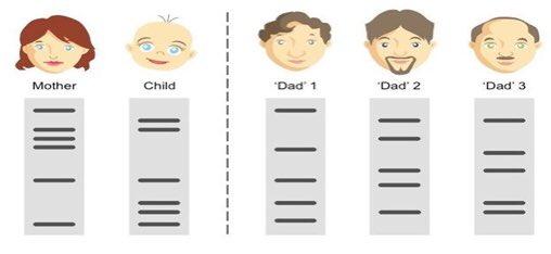 Solved Paternal Testing: Compare the profiles of three men | Chegg.com
