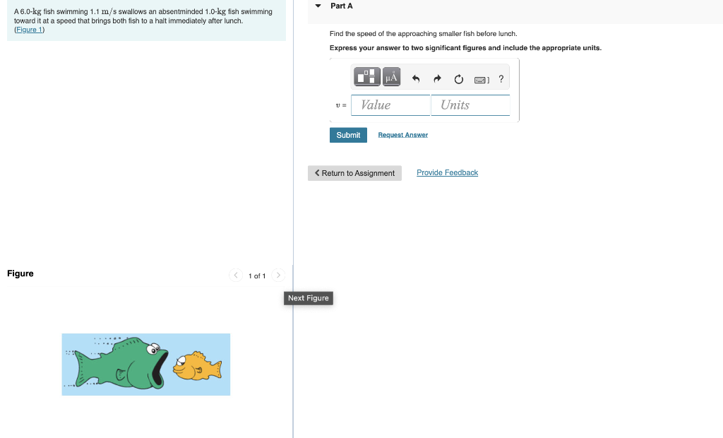 Solved A6.0-kg fish swimming 1.1 m/s swallows an | Chegg.com