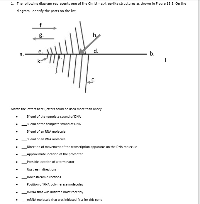 Solved SEE PHOTO FOR DIRECTIONS. RESPONSES MUST LABEL THE | Chegg.com
