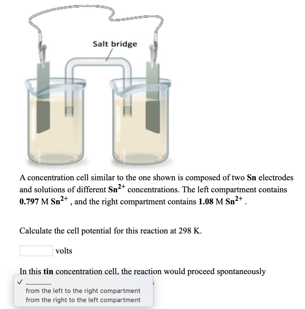 Solved Salt bridge A concentration cell similar to the one | Chegg.com
