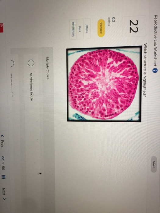 Solved 8 Worksheet Saved The Ovarian And Menstrual Cycles Chegg