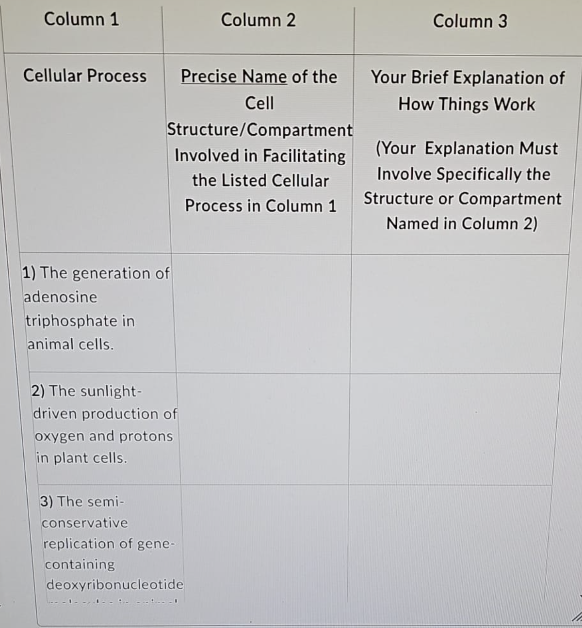 Solved Cells consist of many internal macromolecular | Chegg.com