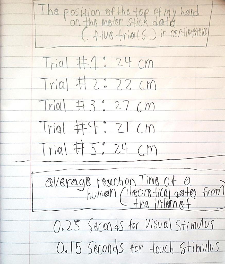 Solved PART TWO ESTIMATING REACTION TIME After You See The Chegg