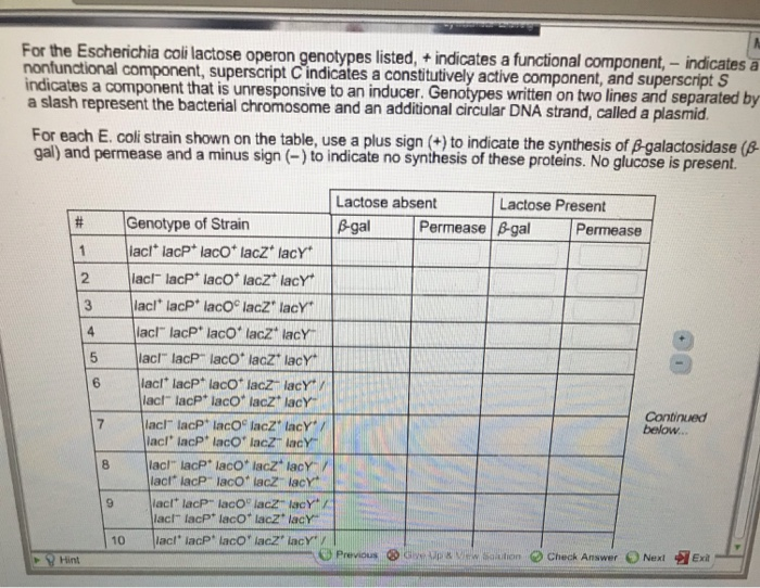 Solved For the Escherichia coli lactose operon genotypes | Chegg.com