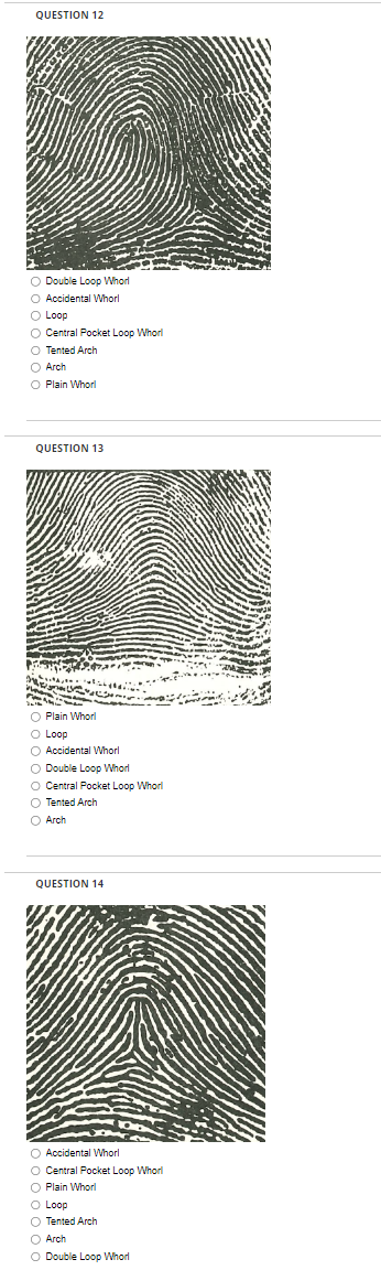Solved QUESTION 1 Arch Tented Arch Plain Whorl Central | Chegg.com