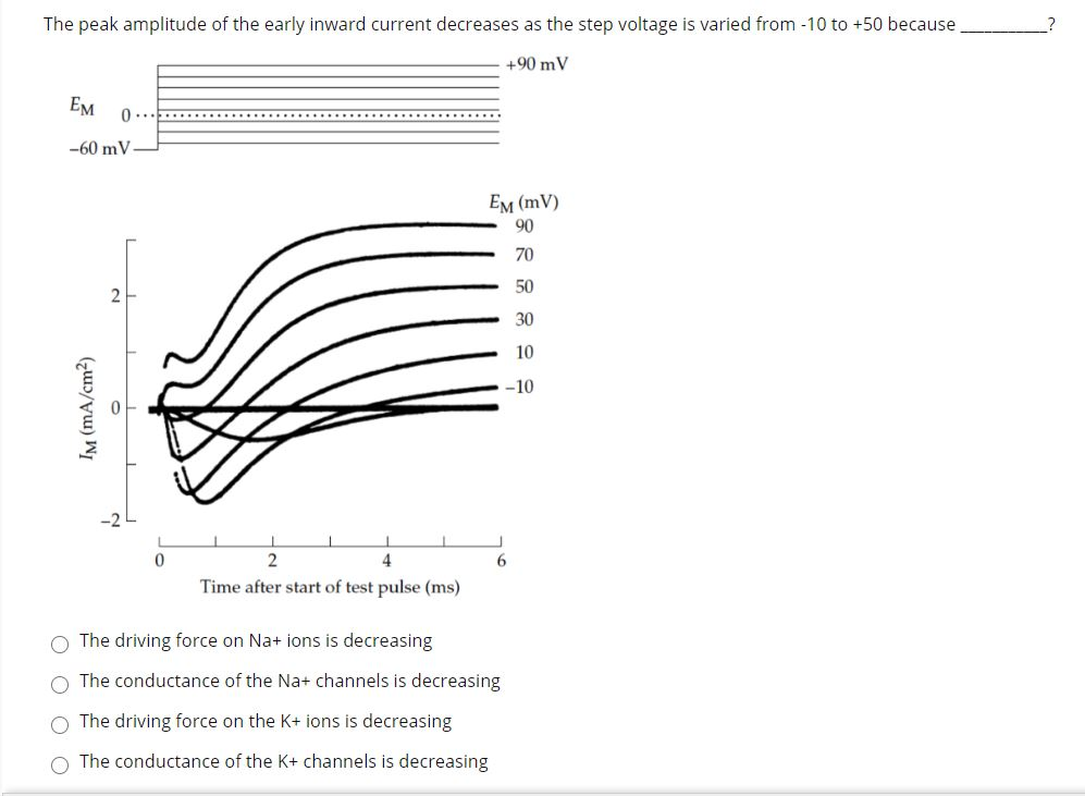 The peak amplitude of the early inward current | Chegg.com