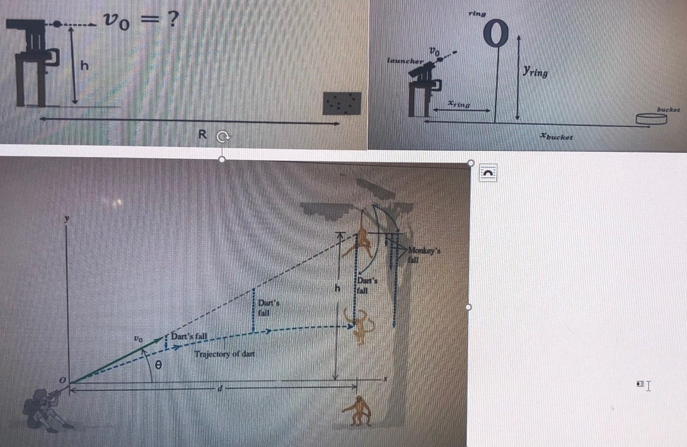 Solved QUESTION 1 A projectile is launched horizontally from | Chegg.com